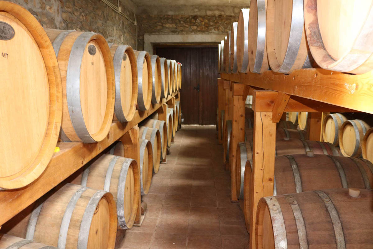 Poluotok Pelješac - oaza prirodnih ljepota i opojnih vina - Croatian ...